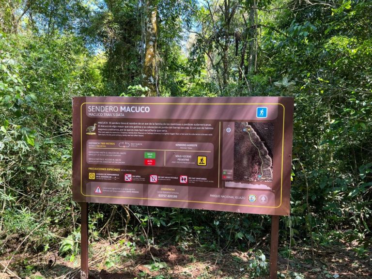 Cataratas: impulsan la visita del sendero Macuco con la instalación de ...